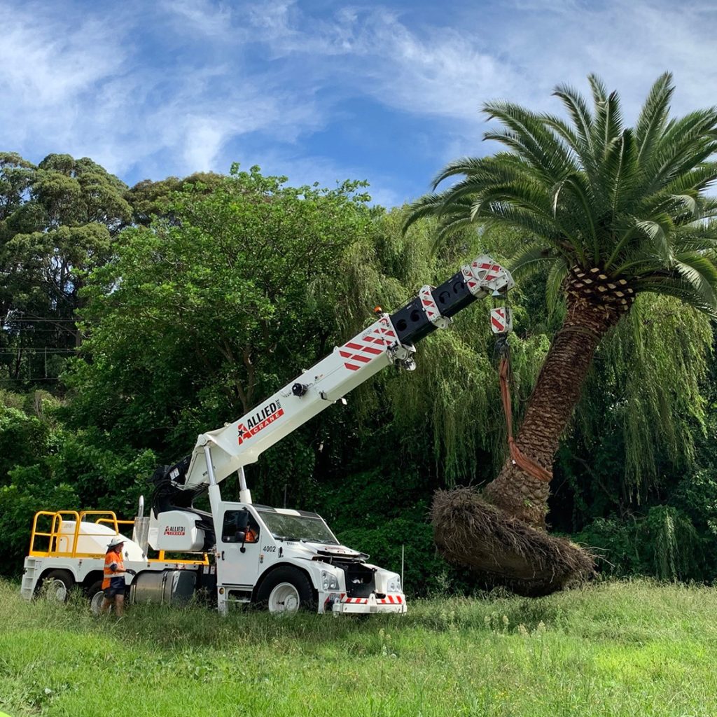 Cranes For Hire Newcastle, Hunter Valley & Mid-Coast: Allied Crane Hire